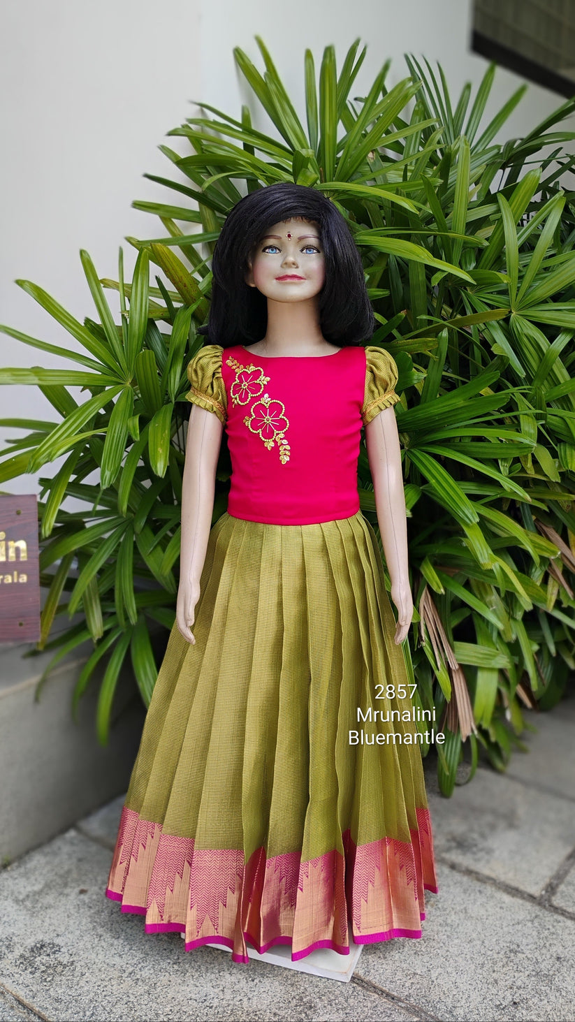 2857: "MRUNALINI" - Ready to Dispatch – Blue Mantle Store
